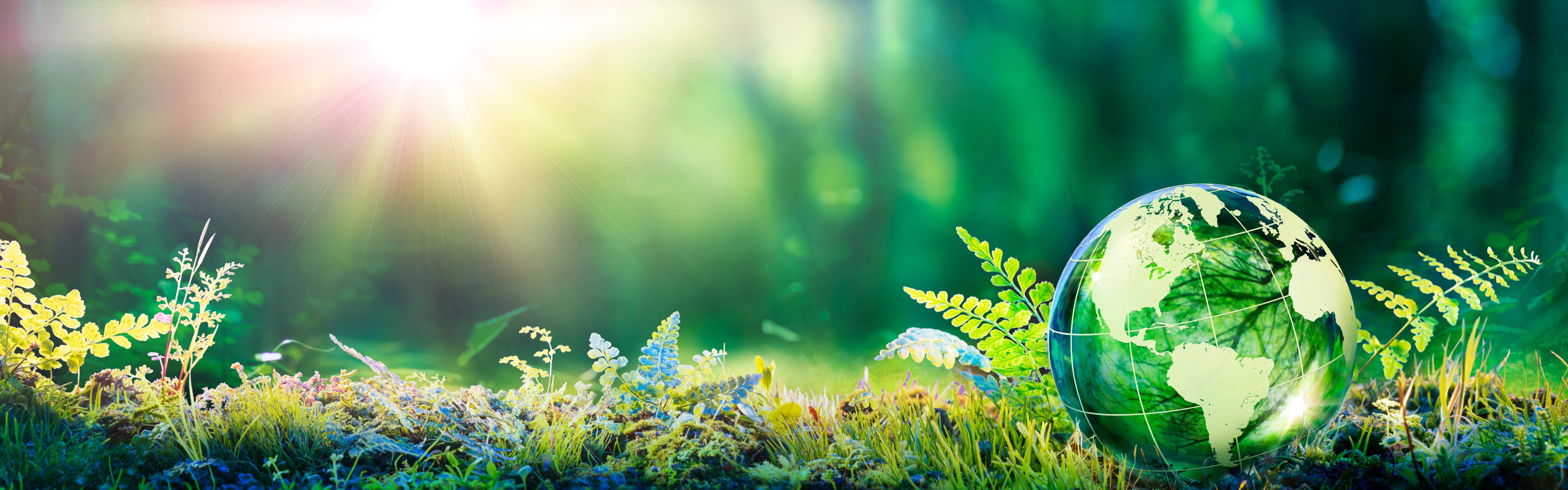 Responsible procurement organisation | COMPANY